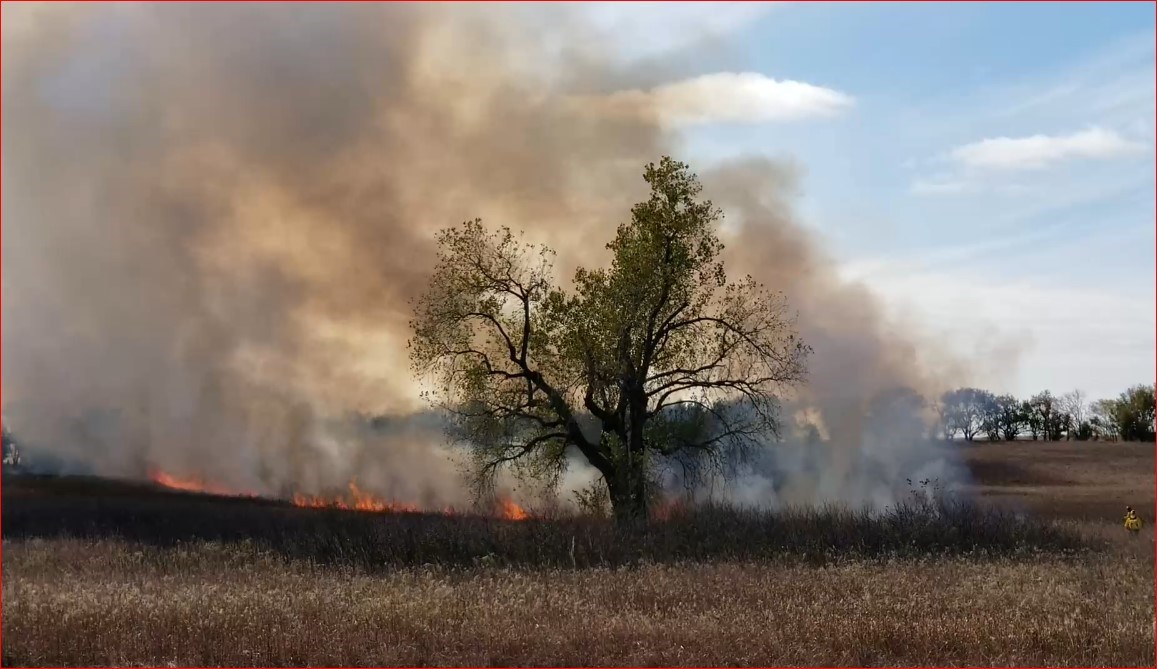 Homestead National Historical Park planning burn - SOUTHEAST - NEWS ...