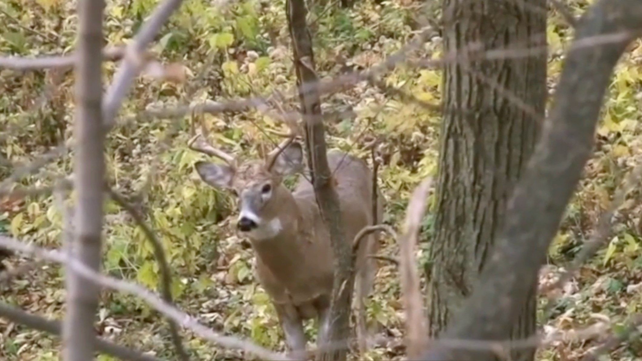 CENTRAL - NEWS CHANNEL NEBRASKA